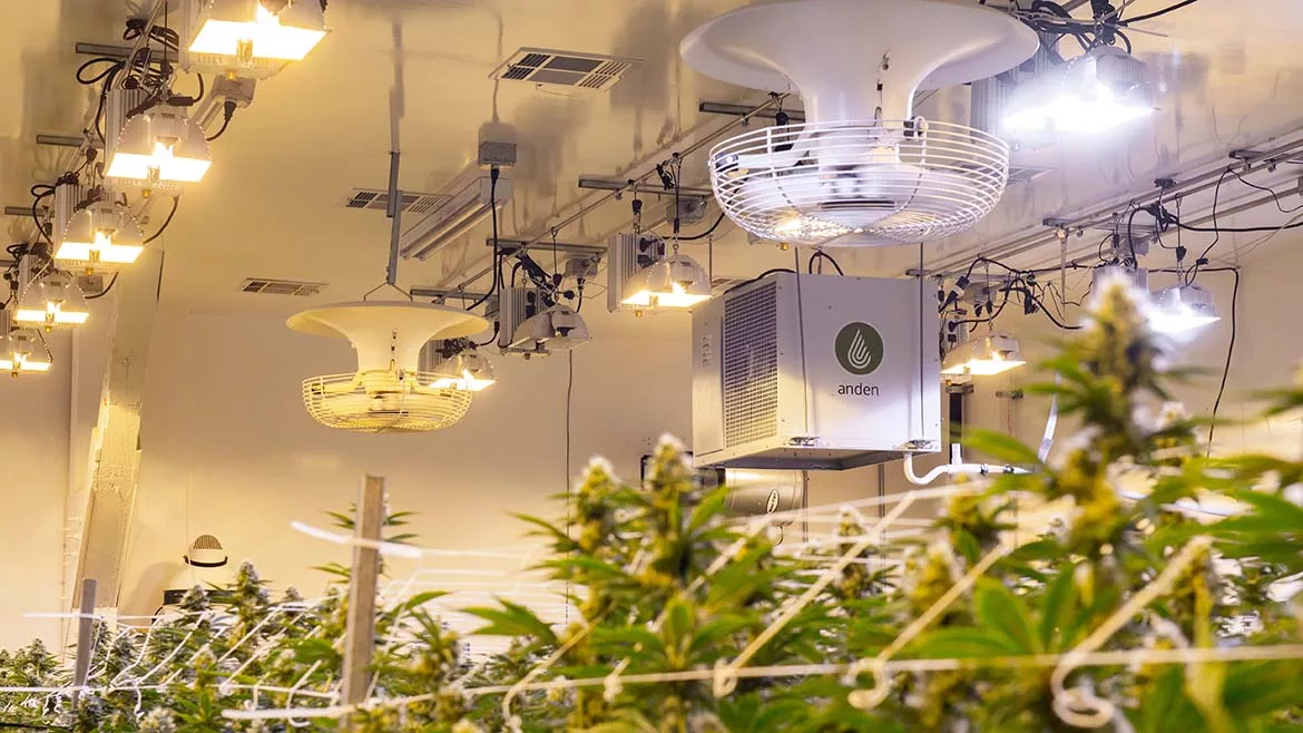 HVAC Products Designed for Indoor Agriculture Offer Precise Climate ...