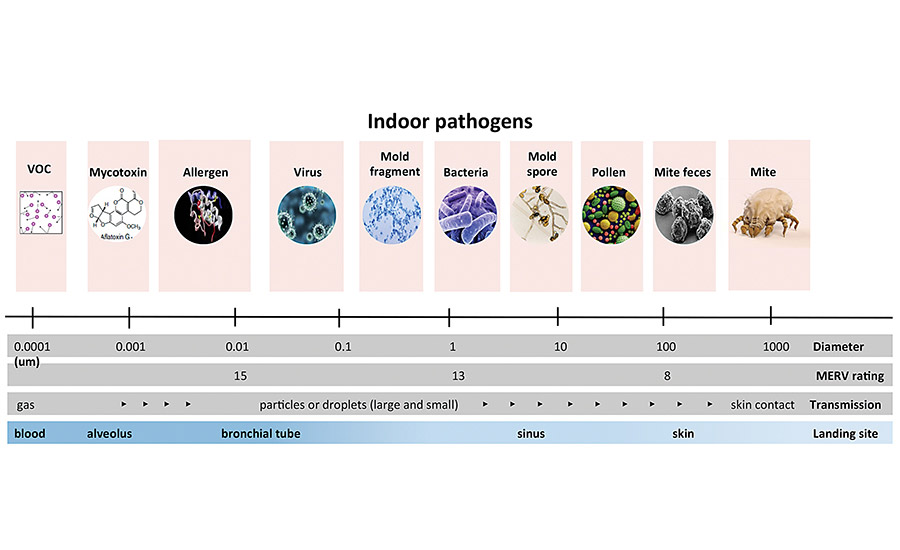 Pathogens 101 | 2016-09-07 | ACHR News
